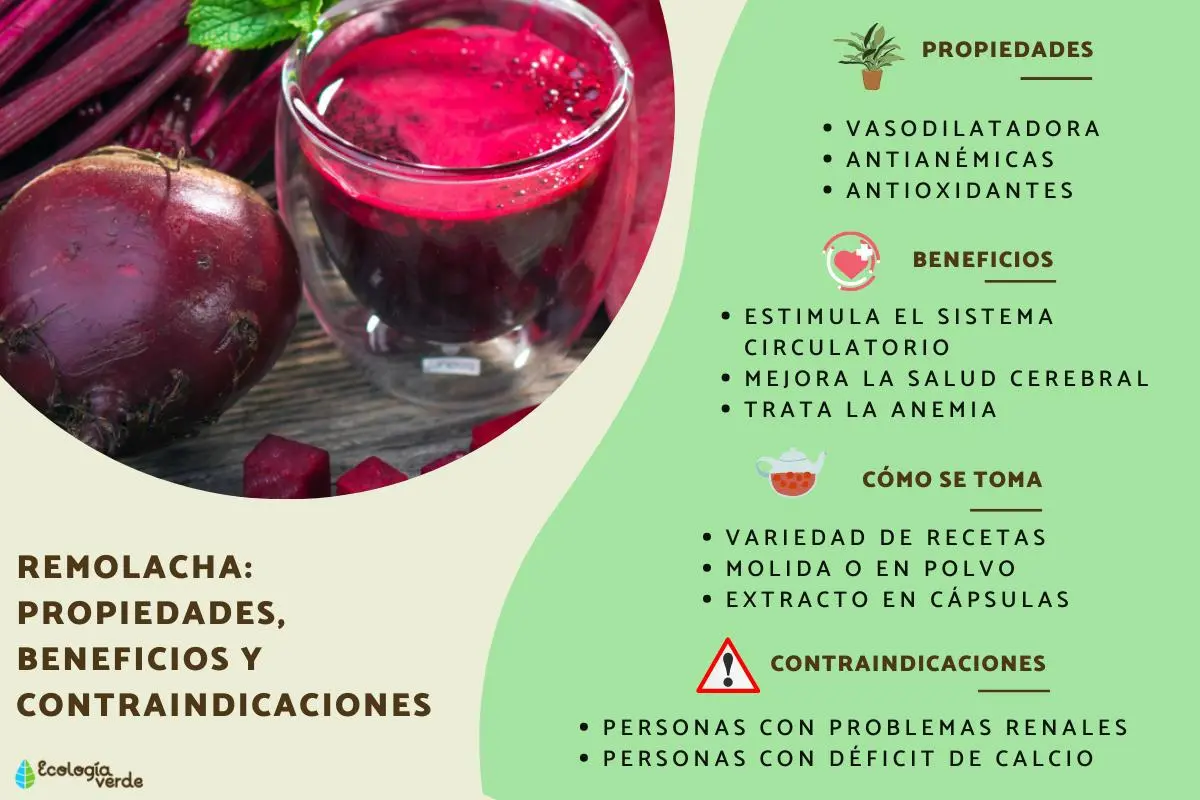 Beneficios Del Jugo De Remolacha: Propiedades Y Usos | Jugando Ando